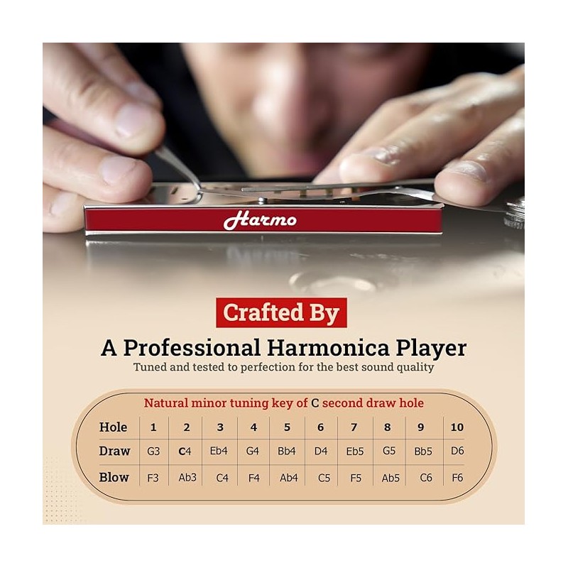 Polar Natural Minor 12 keys harmonica set