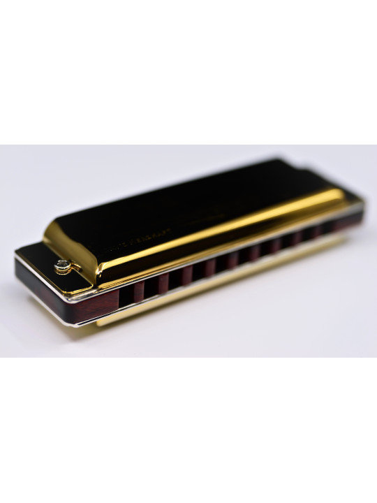 Harmo Rover 20 Diatonic harmonica set